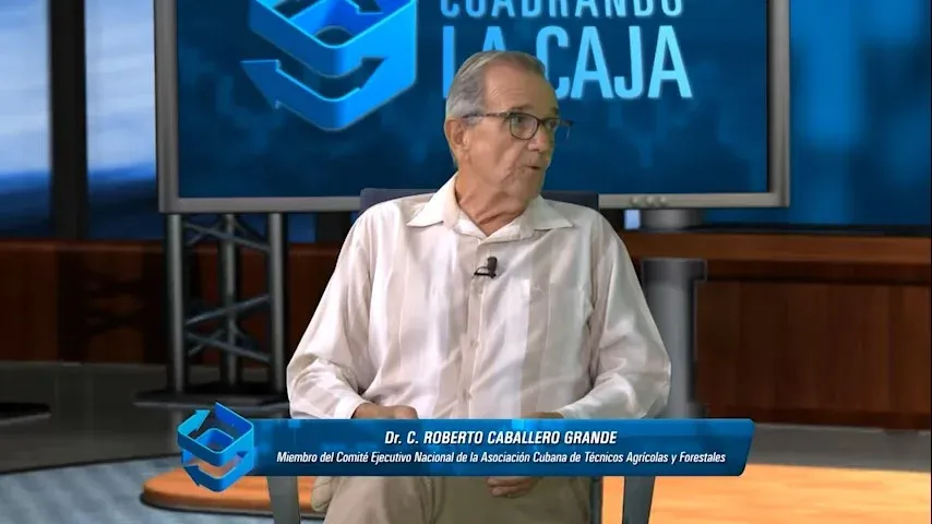 Mercado informal; récords en la tasa de cambio en Cuba este 26 de diciembre